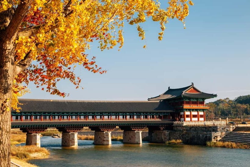 Busan: Gyeongju Autumn Foliage Day Tour with Historic Sites - Discovering Gyeongju’s Autumn Highlights