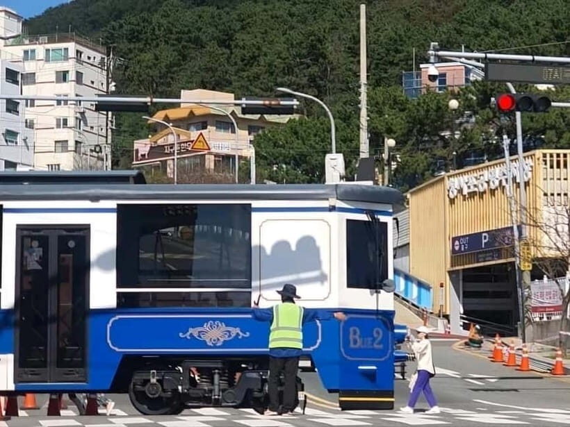 Busan / Gyeongju Customizable Private Tour (up to 8pax) - Who Will Love This Tour?