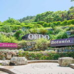 Busan: Hidden Gem Geoje & Oedo Botania Island & Cable car - Oedo Botania: A Botanical Paradise on the Coast