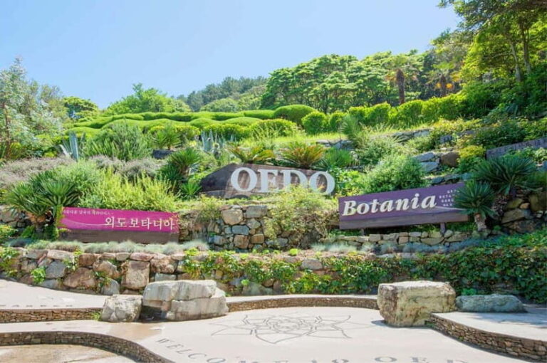Busan: Hidden Gem Geoje & Oedo Botania Island & Cable car