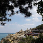 Busan K-Drama Tour in Busan for Private Tour - Transport, Timing, and Overall Value