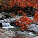 Busan: Mt. Jiri or Juwangsan Park Autumn Foliage Day Tour - The Mt. Jirisan Option: Majestic Mountain Scenery