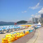 Busan Private Walking Tour with a Local - The Value for Money