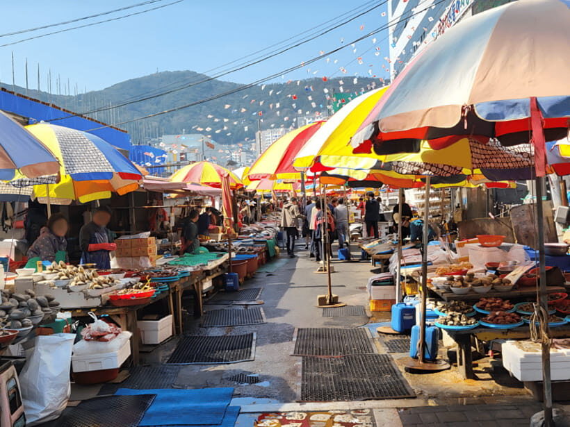 Busan: Sightseeing Tour for Cruise Passengers - Key Points