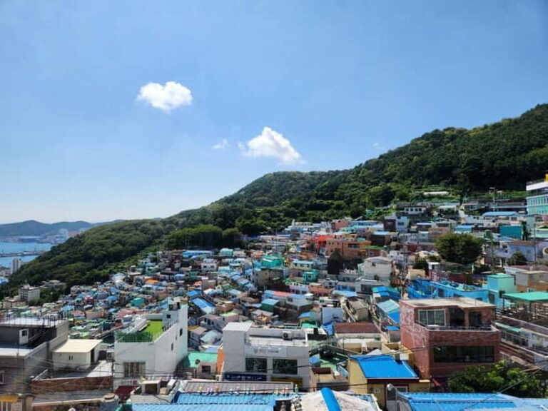 Busan Tour with Gamcheon Village & haedong yonggungsa temple - What the Reviews Tell Us