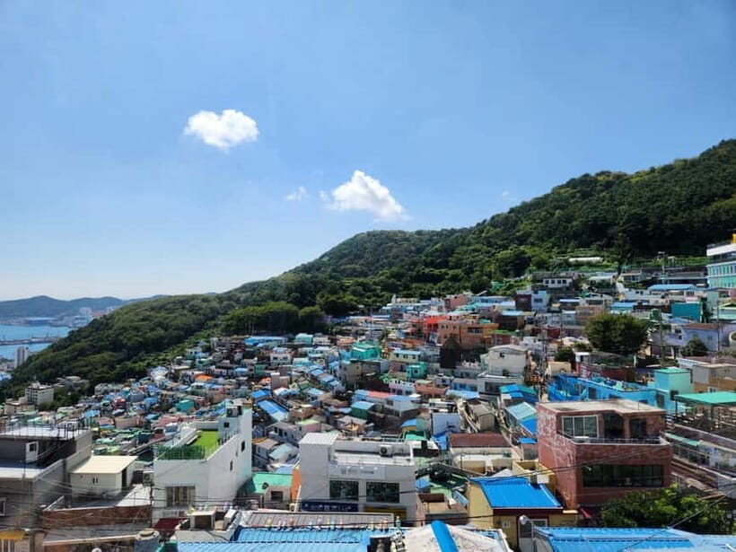 Busan Tour with Gamcheon Village & haedong yonggungsa temple - What the Reviews Tell Us