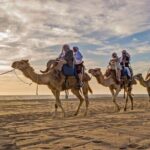 Cabo Camel Ride: Beach Safari, Tequila Tasting & Buffet - Practical Tips and Considerations