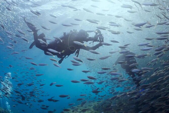 Cabo Pulmo Diving Adventure - What Makes the Cabo Pulmo Diving Adventure Stand Out?