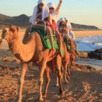 Cabo San Lucas Camel Ride and Encounter on Beach and Desert - The Practical Details: What Travelers Can Expect
