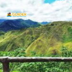 Cagayan De Oro: Bukidnon Communal Ranch & Dahilayan Day Tour - Final Thoughts