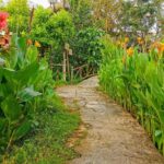 Cai Be Village - One-Day Mekong Delta Adventure - Final Thoughts: Who Should Consider This Tour?