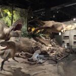 Calgary to Royal Museum | Drumheller  PRIVATE TOUR - In-Depth Look at the Itinerary