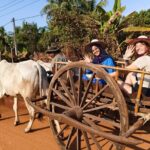 Cambodian Cooking Class and Oxcart Ride with Local Village Tour - Transportation and Logistics