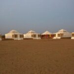 Camel Safari - Authenticity and Reviews: What Travelers Say