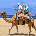 Camel Safari and Gastronomic Experience in Los Cabos - What to Expect from This Experience
