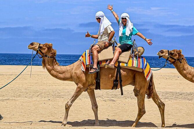 Camel Safari and Gastronomic Experience in Los Cabos - What to Expect from This Experience