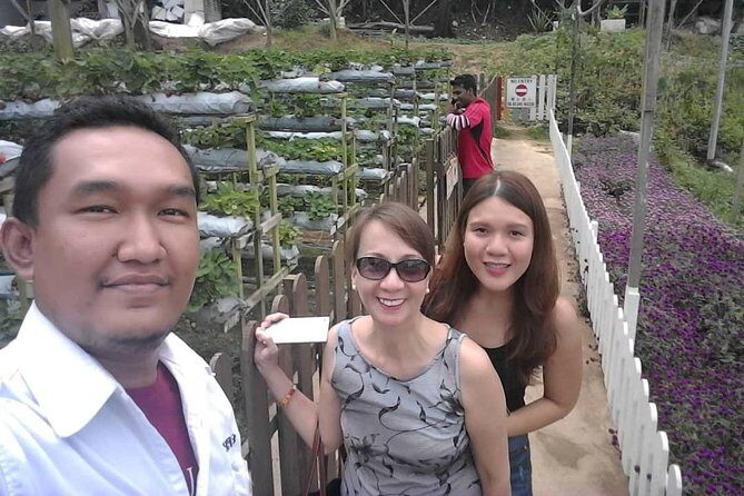 Cameron Highland Day Tour From Kuala Lumpur With Lunch Local food - Practical Details and What Youll Experience