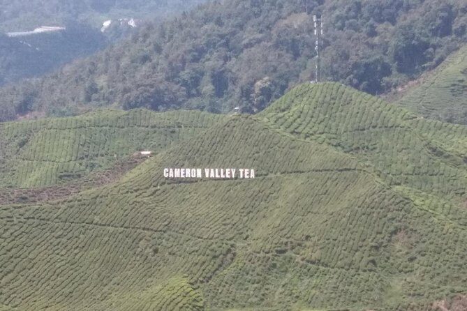 Cameron Highlands 3 Days 2 Night Tours Private (per Vehicle) - Authentic Experiences and Traveler Insights