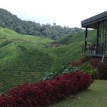 Cameron Highlands Amazing Day Trip Tour with Local Lunch - Practical Details