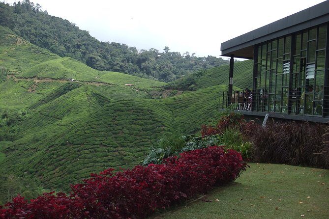Cameron Highlands Amazing Day Trip Tour with Local Lunch - Practical Details