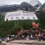 Cameron Highlands Day Trip - How Well Does It Cover the Highlands?