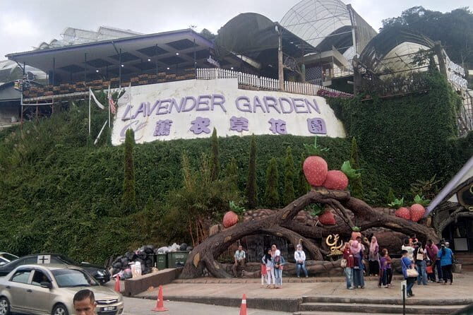 Cameron Highlands Day Trip - How Well Does It Cover the Highlands?