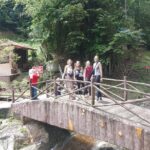 Cameron Highlands Day Trip - In-Depth Look at the Tours Highlights