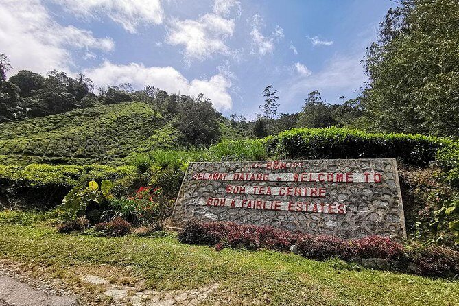 Cameron Highlands Full-Day Nature Tour - An Honest Look at the Cameron Highlands Full-Day Tour