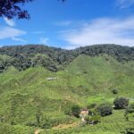 Cameron Highlands Nature & Batu caves Culture Tour - Who Is This Tour Best For?