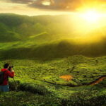 Cameron Highlands Private Tour with Tea Plantation Visit - Itinerary Breakdown: What You’ll Experience