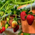 Cameron Highlands Tour From Kuala Lumpur (Private Tour) - What You’ll Love About This Experience