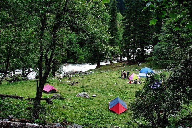 Camping in Manali, Himachal Pradesh - The Accommodation: Swiss Tents with Comfort in Mind