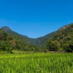 Camping in Meemure - What Travelers Say and Why It Matters