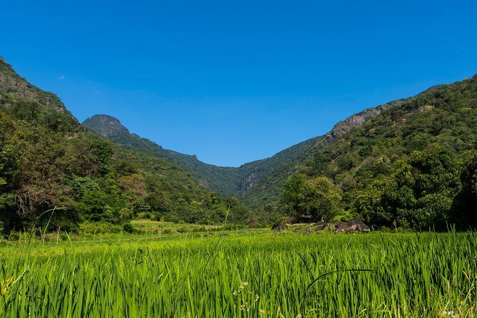 Camping in Meemure - What Travelers Say and Why It Matters