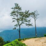 Camping in Ramboda - Authentic Experiences & Real Traveler Feedback