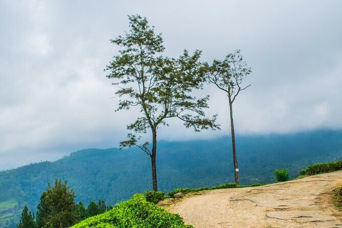 Camping in Ramboda - Authentic Experiences & Real Traveler Feedback