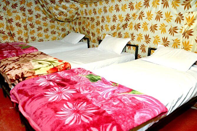 Camping in Rishikesh - 1N 2D - The Sum Up