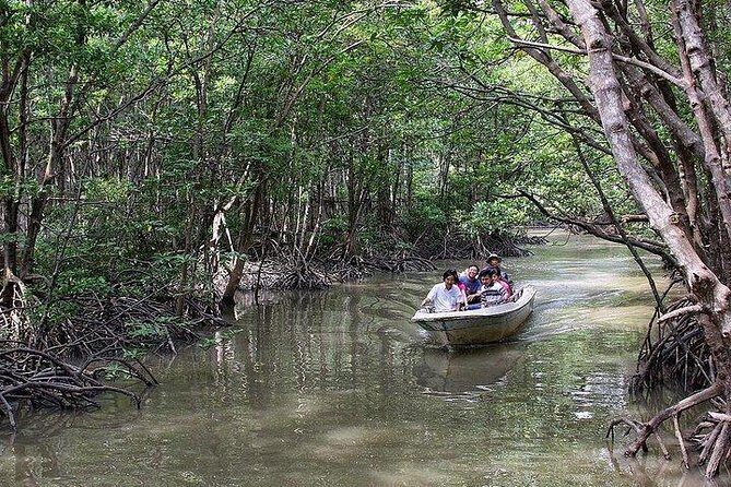 Can Gio mangrove eco tour 1 day private - The Role of the Guide