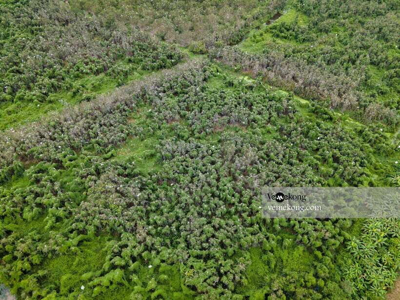 Can Tho: Lung Ngoc Hoang Forest Nature Reserve Half-Day Tour - What Makes This Tour Special?