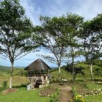 Can-umantad Falls and candijay rice terraces Eco Tour - In essence, this eco tour is a solid choice for those seeking an off-the-beaten-path experience that captures the essence of the island’s landscape and traditions — a true celebration of Bohol’s natural charm.