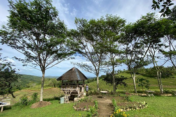 Can-umantad Falls and candijay rice terraces Eco Tour - In essence, this eco tour is a solid choice for those seeking an off-the-beaten-path experience that captures the essence of the island’s landscape and traditions — a true celebration of Bohol’s natural charm.