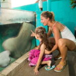 Cancún: Interactive Aquarium Admission - The Practical Side: What to Expect
