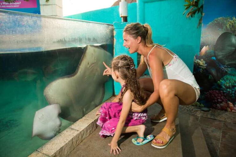 Cancún: Interactive Aquarium Admission - The Practical Side: What to Expect