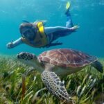 Cancun Snorkeling Adventure: Underwater Museum, Reef & Shipwreck - In-Depth Look at the Itinerary