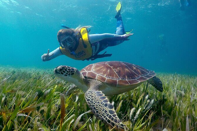 Cancun Snorkeling Adventure: Underwater Museum, Reef & Shipwreck - In-Depth Look at the Itinerary