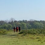 Canoeing and Nature Walk in Chitwan National Park - Discovering the Heart of Chitwan: A Deep Dive Into the Tour