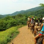 Canopy River Zipline Tour and Mule Ride - The Sum Up