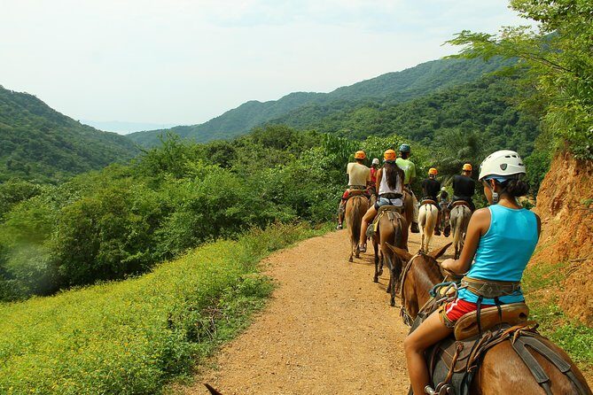 Canopy River Zipline Tour and Mule Ride - The Sum Up