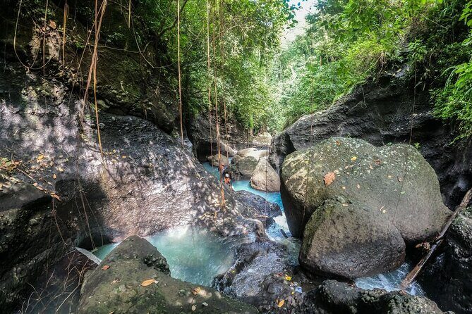 Canyoning Bali, Blue Gorge Canyon (Adventure, discovery, nature) - Who Should Consider This Tour?