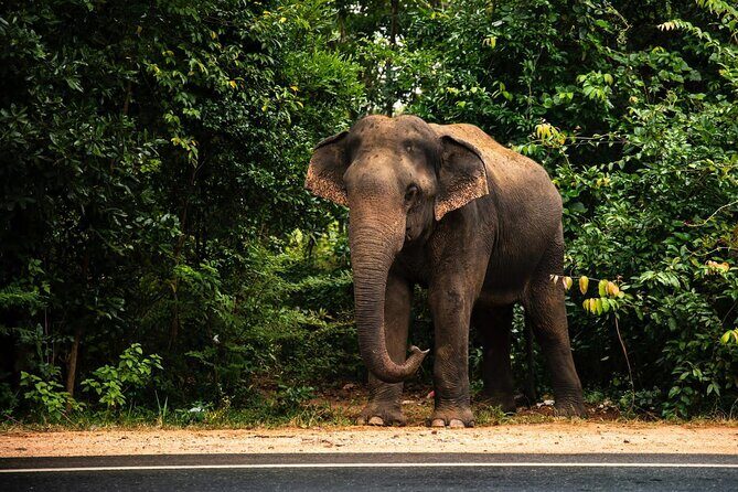 Car and Driver Hire From Sigiriya to Colombo - The Route and Sightseeing Opportunities